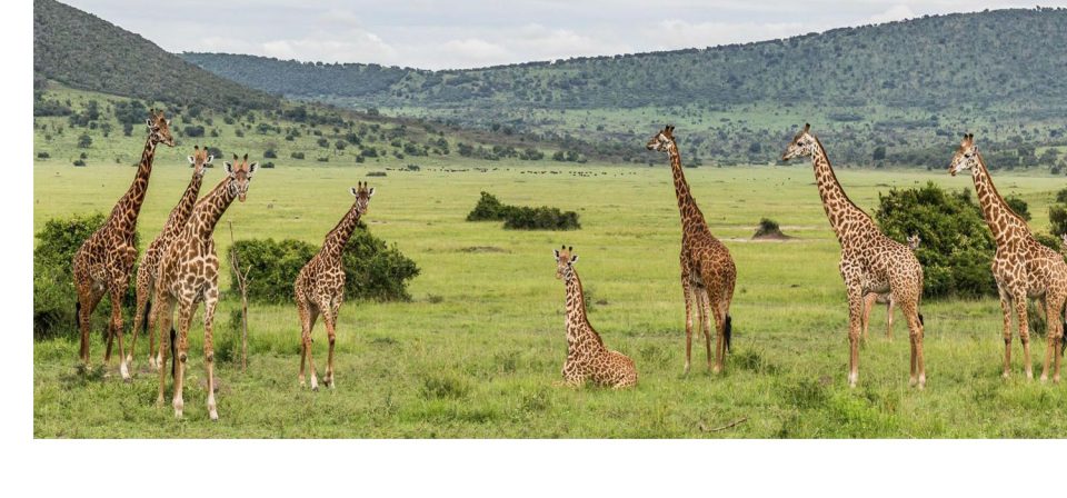 Akagera National Park | Location, Rwanda Tour Guide